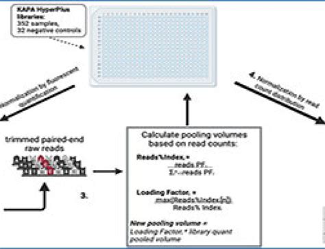 Scbn A Statistical Normalization Method And Differential Expression