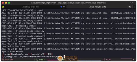 详解使用nexus搭建maven、npm私服并迁移到离线环境使用 雨月空间站 详解使用nexus搭建maven、npm私服并迁移到离线环境使用 雨月空间站