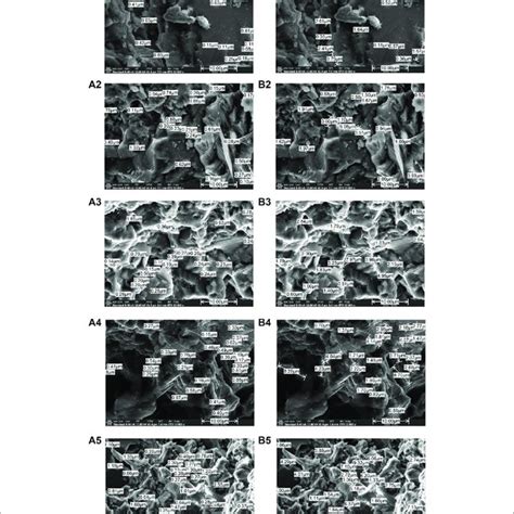 Relationship Between Elastic Modulus Of Jointed Limestone And Water