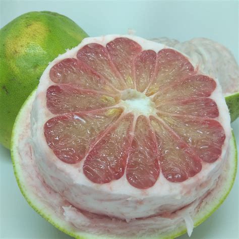 Jeruk Pamelo Magetan Kabar Magetan