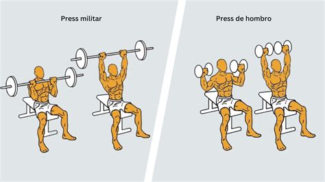 Press Militar Qué Es Cómo Se Hace Correctamente Y En Qué Se Diferenc