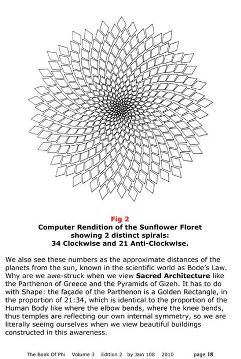 Sunflower Pattern Fibonacci