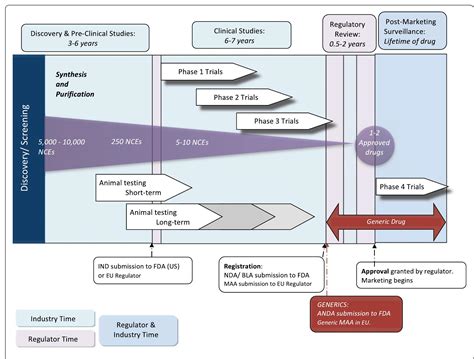 Schematic Of Drug Development Process