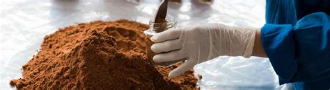 Rogač Lekovita Svojstva I Uticaj Na Zdravlje Totally Wellness