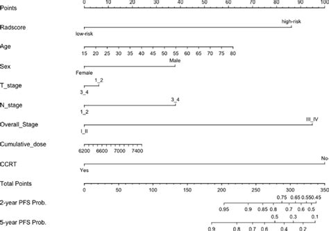 Nomogram For Predicting 2 And 5 Year Progression Free Survival