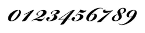 Bickham Script® Pro 3 Bold Font Script Decorative What Font Is
