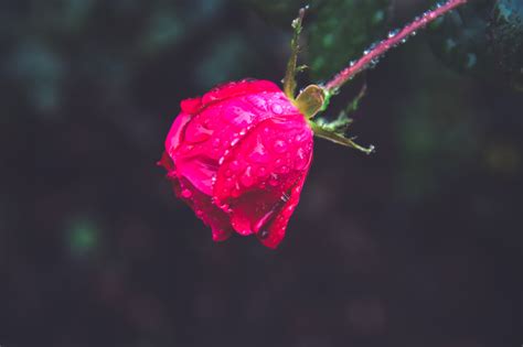 43 Shae Lynn Photography Ideas Shae Lynn Blog Photography