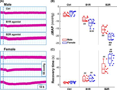 The Effect Of Bradykinin Receptor Agonists Brs On Mean Arterial