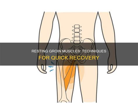 Resting Groin Muscles Techniques For Quick Recovery Cyvigor