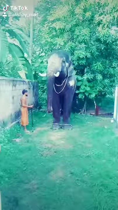 Puthenkulam Ananthapadmanabhan Youtube