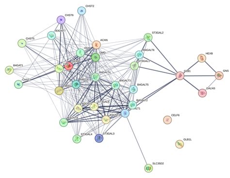 Pathcards Keratan Sulfate Biosynthesis Pathway And Related Pathways