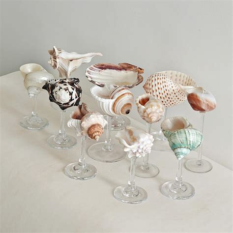 Conch Wine Glasses Seashell Martini Glasses Beach Wedding Etsy