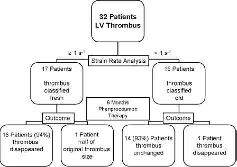 Figure 1 From Differentiation Between Fresh And Old Left Ventricular