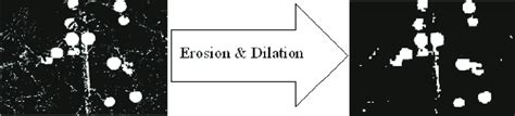 Morphological Operation Download Scientific Diagram