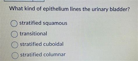 [answered] What Kind Of Epithelium Lines The Urinary Bladder Stratified Kunduz
