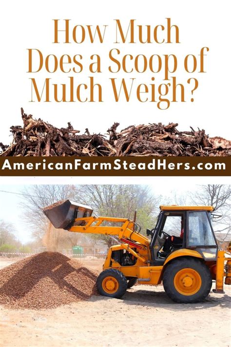 What Is A Scoop Of Mulch At Clarence Swingle Blog