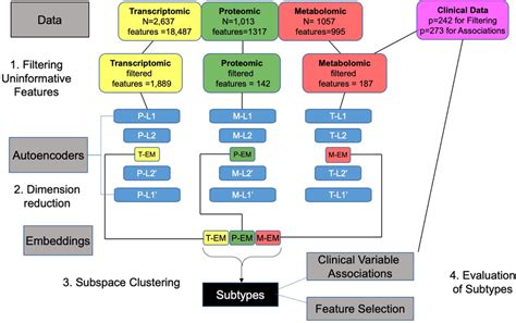 Flow Chart Illustrating Omics Subtyping Pipeline T P And M Denote