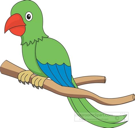 Free Parakeet Clipart Colorful Budgie Illustrations For Download