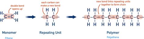 S244 Polymer And Plastic Properties Ib Chemistry