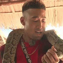 Sekiguchi Mandy GIF Generationsfromexiletribe Python Snake Discover Share GIFs