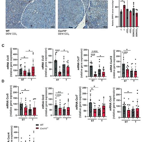 Antibody Combinations And Order For Multiplex Staining Download