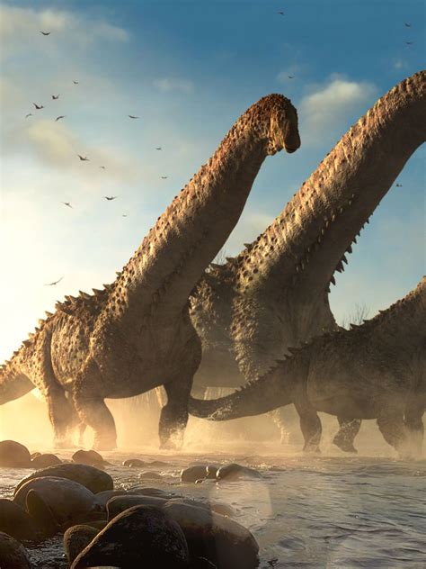 Julian Johnson Mortimer Visual Effects
