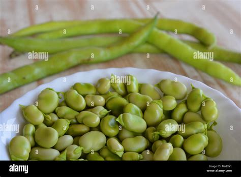 Fava Beans Also Known As At Phoebe Hercus Blog