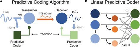 Frontiers Efficient Temporal Coding In The Early Visual System Existing Evidence And Future