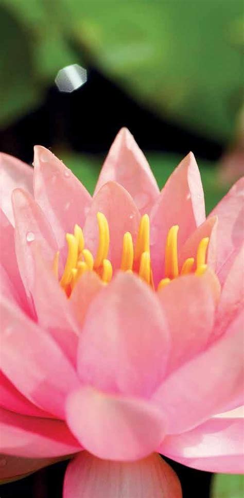 Grade 2 Study Material Booklet By Sgidk Issuu