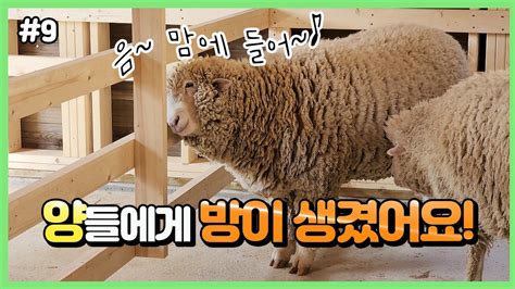 새 집을 본 염소와 푸들의 귀여운 반응 Youtube