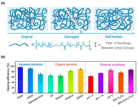 Synergistic Self Healing Enhancement In Multifunctional Silicone