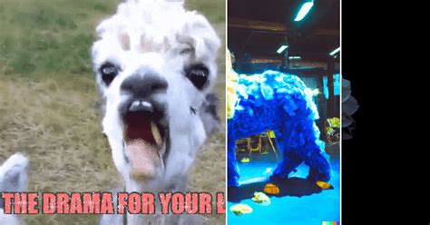 List Llm Bloom Curated By Jean Michel Dussoux Medium