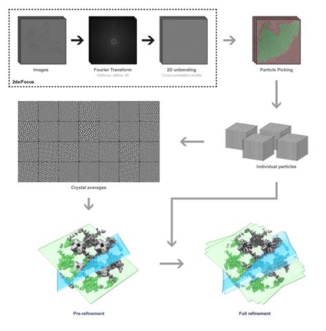 Workflow Employed To Process 2d Crystal Data By Single Particle Download Scientific Diagram