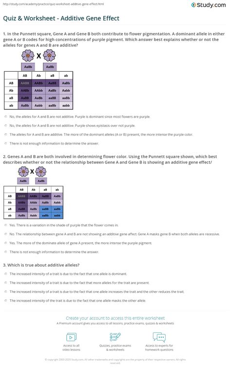 Quiz And Worksheet Additive Gene Effect