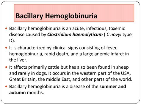 Solution Lecture 3 Bacillary Hemoglobinuria Studypool