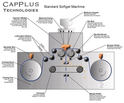 Softgel Manufacturing Process The Ultimate Guide Saintyco
