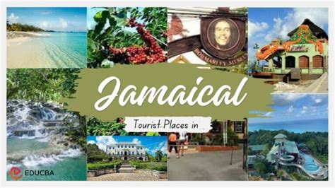 Top 18 Favorite Places To Visit In Jamaica Beautiful And Nature