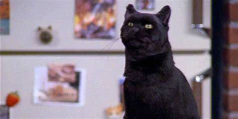 Sabrina The Teenage Witch 10 Ways The 1996 Show Holds Up Today