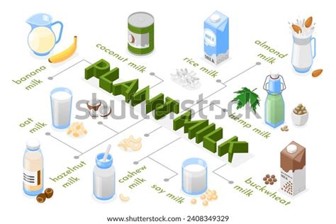 Isometric Vegan Milk Flowchart Different Types Stock Illustration