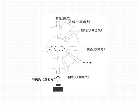 静物拍摄技巧及布光方式word文档在线阅读与下载无忧文档