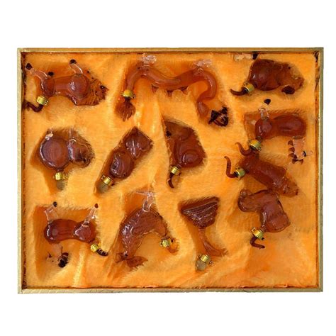 Buy Napoleon Zodiac Xo Brandy T Set Online