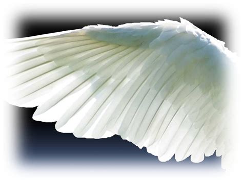 Имаш поща Имаш поща Imash Poshta официална страница