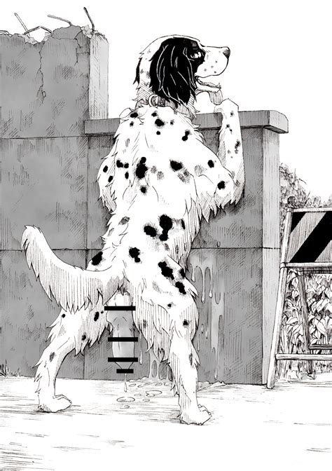 Rule 34 After Orgasm Animal Genitalia Animal Penis Balls Black Body