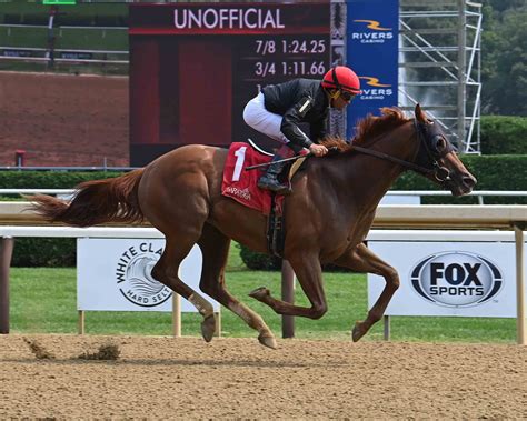 Roster Woodford Racing