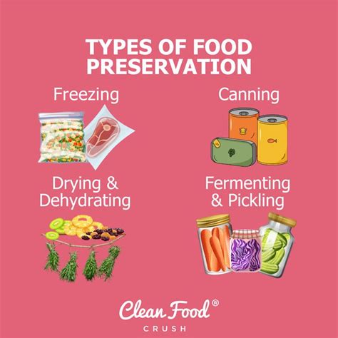 Simple Methods For Food Preservation Preserving Food Save Food