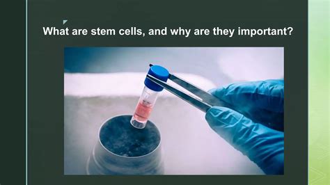 2nd Msc Class Presentn Stem Cell Intro Types Pptx