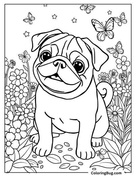 32 Cute Pug Coloring Pages Free Printable Pdfs