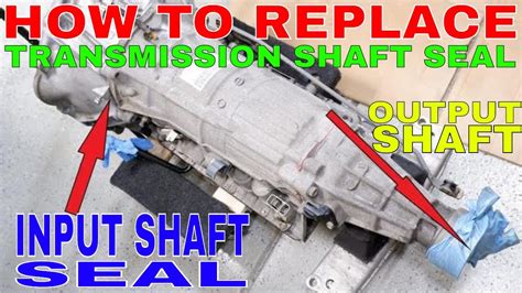 How To Replace Transmission Input Shaft Bearing At Gerard Martin Blog