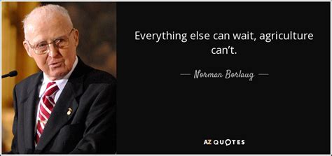 Norman Borlaug Quote Everything Else Can Wait Agriculture Cant
