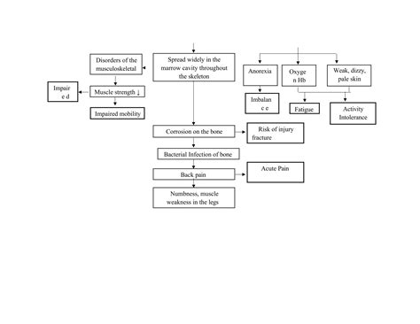 Pathophysiology Of Multiple Myelomadocx